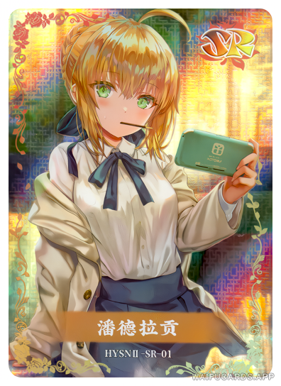 Flower Girl HYSNII-SR-01 Artoria Pendragon Fate Series Waifu Card ...